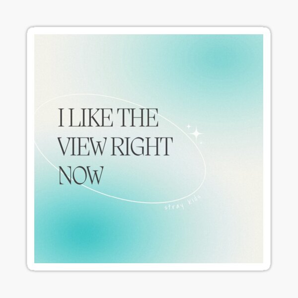 "stray kids design the view" Sticker by kavmoo | Redbubble