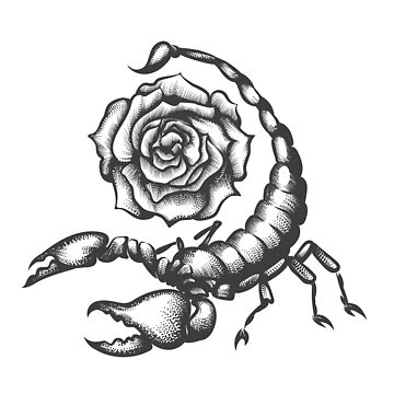 "Scorpio and Rose Flower Tattoo in Engraving Style" Sticker for Sale by ...