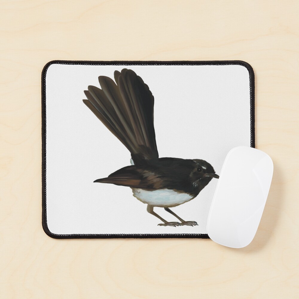 "Australian Willie Wagtail illustration, Willy Wag Tail artwork, cute ...