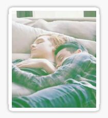 Shameless: Stickers | Redbubble