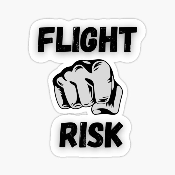 "FLIGHT RISK : Plane fight" Sticker by MamaNeeaDesigns | Redbubble