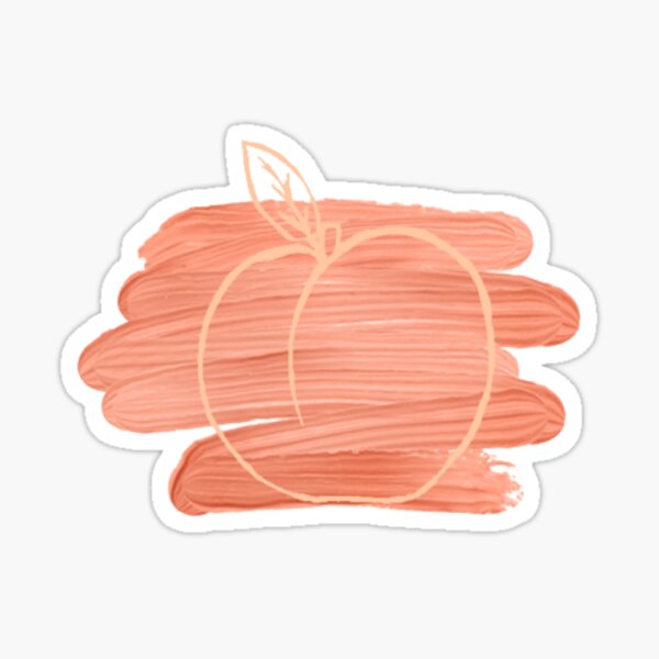 "Aesthetic Peach" Sticker by Lilac225769 | Redbubble