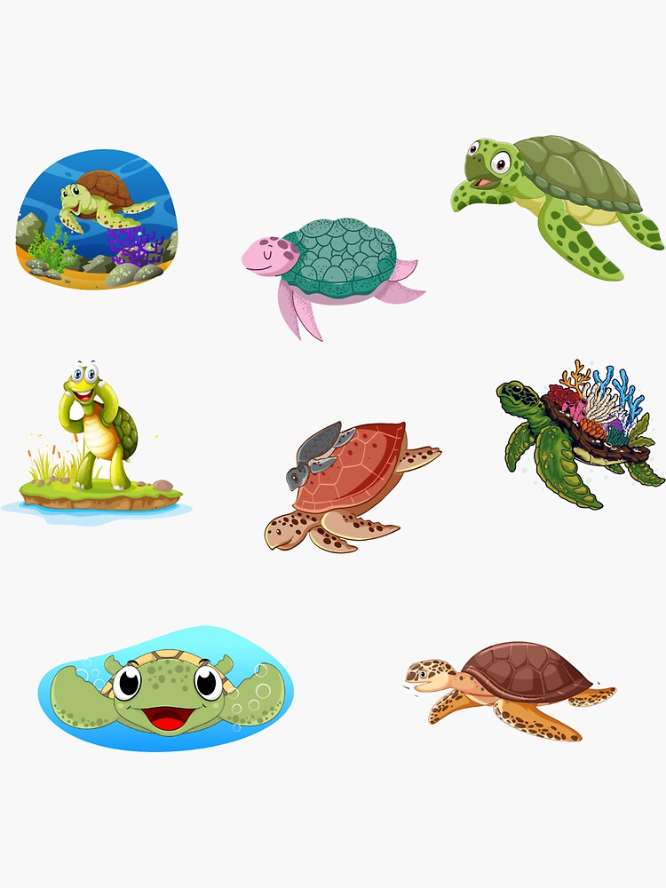 "Sea turtle pack - Aquaculture - Oceanlife - Sea animals - Ocean ...