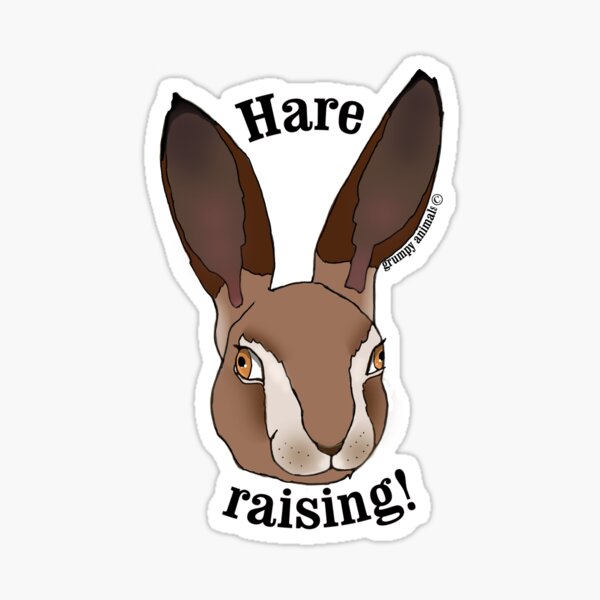 "Grumpy Animals "Hare"" Sticker by MadameDevious | Redbubble