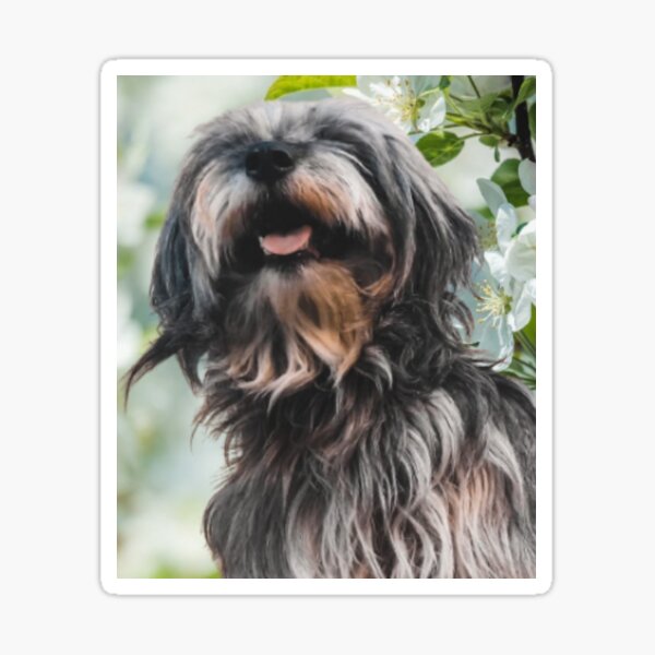 "Meg" Sticker by SOLSOUZA | Redbubble