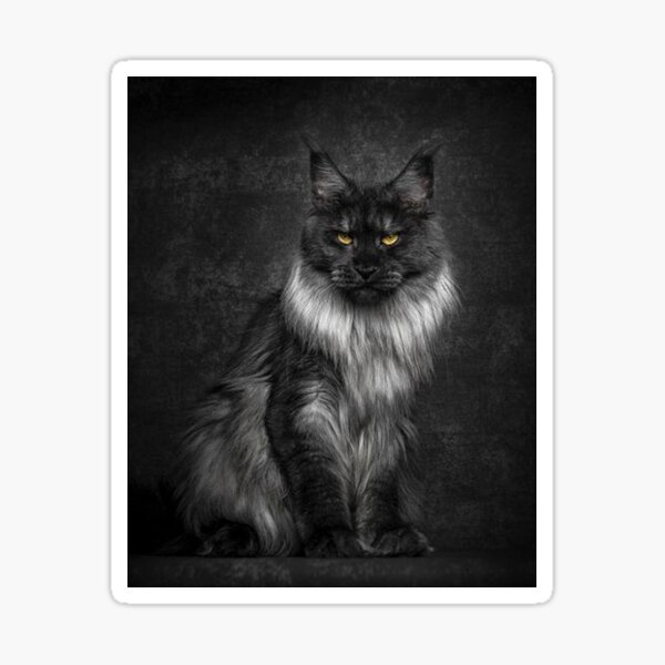 "cat" Sticker by Marijela1 | Redbubble