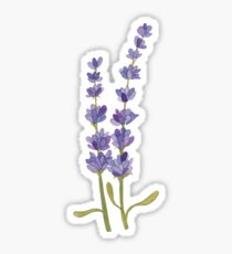 Purple Lavender Stickers | Redbubble