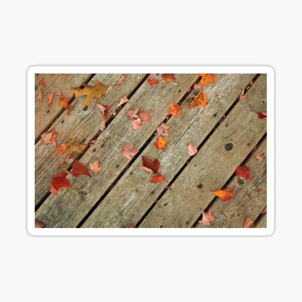 "Fallen Fall Leaves" Sticker by VagabondLife | Redbubble