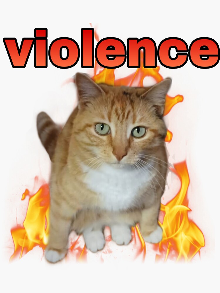 Cat Fire Memes