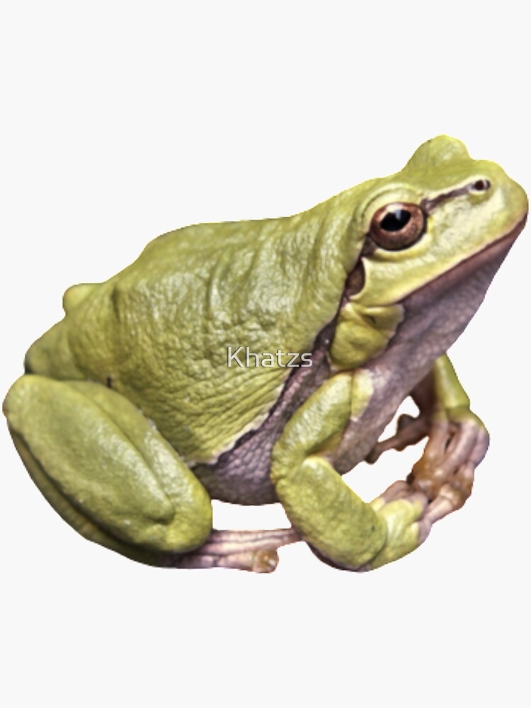 "Phrog" Sticker by Khatzs | Redbubble