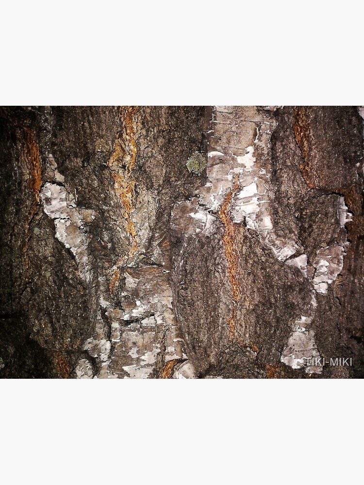 Póster «árbol, bosque-huellas de vida» de TIKI-MIKI | Redbubble