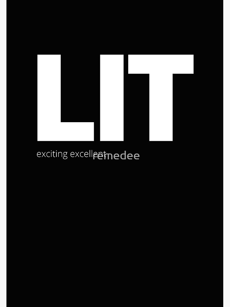 "Lit exciting" Poster for Sale by remedee | Redbubble