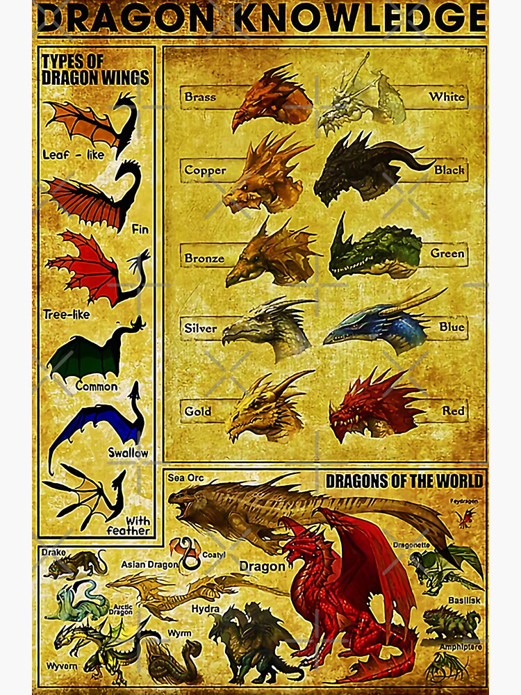 "Types Of Dragon Wings Knowledge" Sticker by VictorRowsey | Redbubble