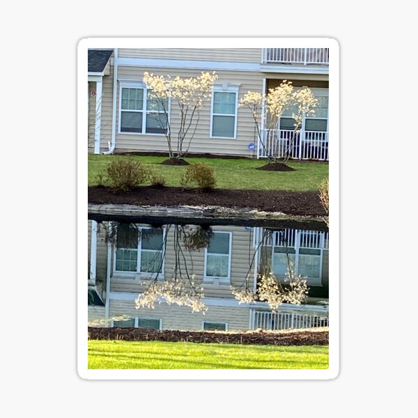 "Beautiful day " Sticker for Sale by ROBERTO Ordonez Hoyo | Redbubble