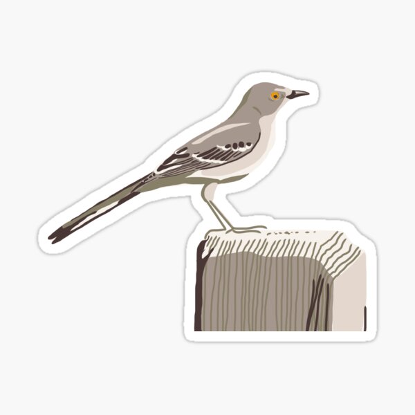 "Northern Mockingbird" Sticker for Sale by Timberdoodlz | Redbubble