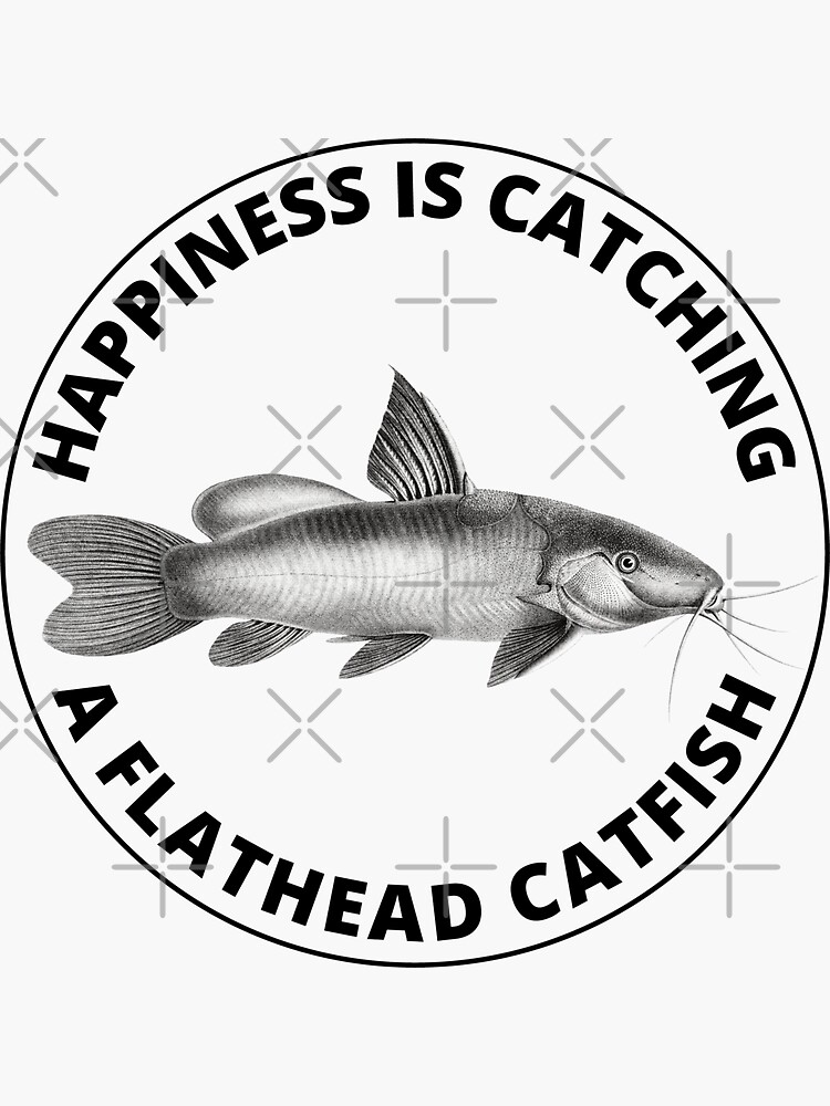 "Catfishing Catfish Lover Fishing Fisherman Fish" Sticker by ...