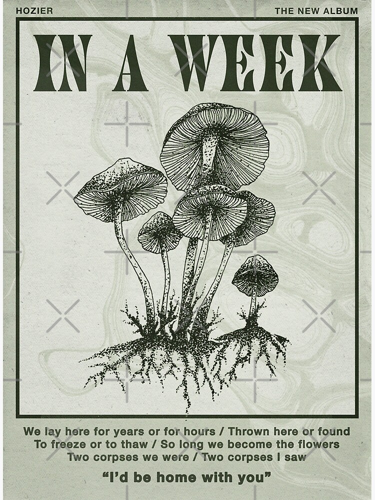 "In a Week Hozier" Poster for Sale by lgsketches | Redbubble