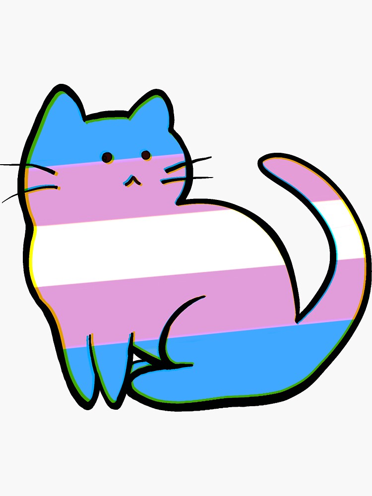 "Cute pride cat design - lgbtq+ transgender flag queer kitty no.2 ...