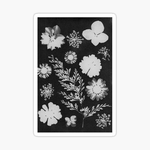 "Black and White Floral" Sticker for Sale by marylm | Redbubble