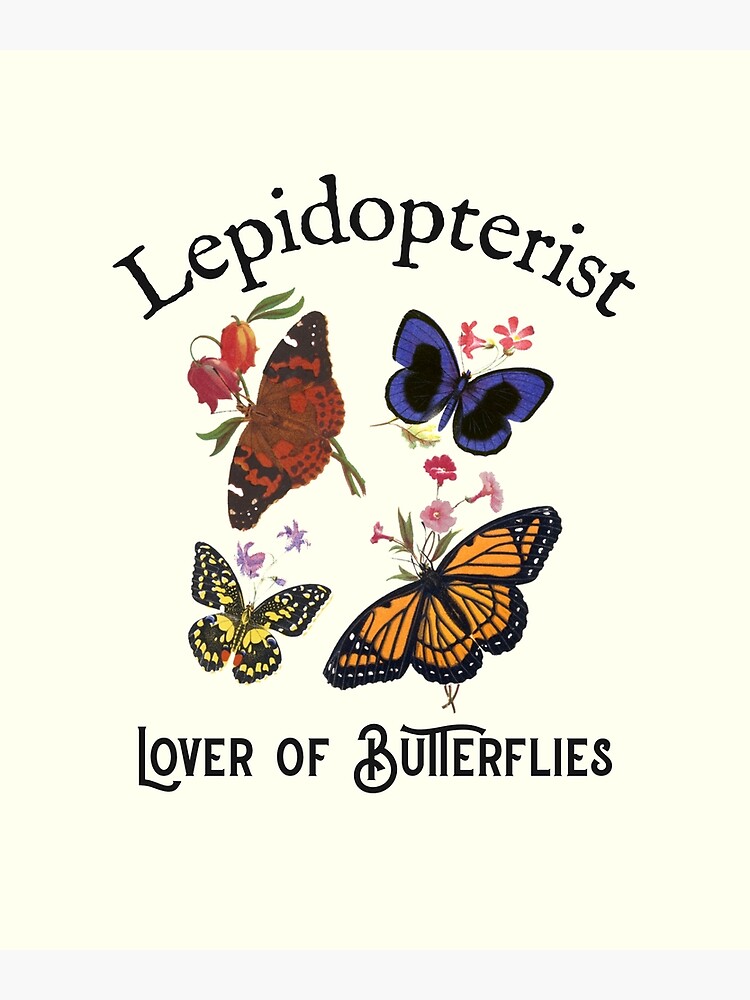 Póster «Lepidópterista Amante de las mariposas Ilustración victoriana ...