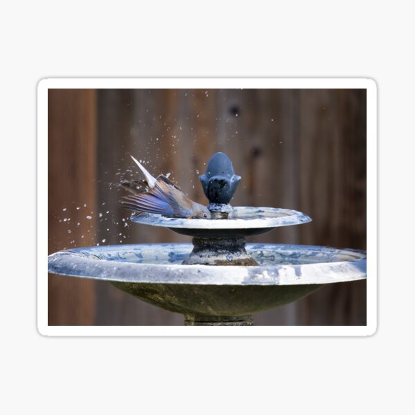 "This Water Feels So Good" Sticker by CarolM | Redbubble