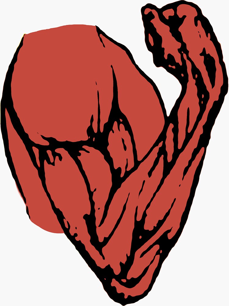 "Muscle Arm " Sticker by Fondamill | Redbubble