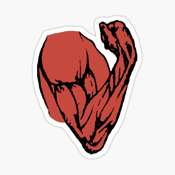 "Muscle Arm " Sticker by Fondamill | Redbubble