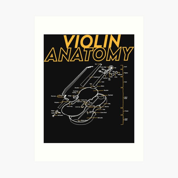 "Twoset violin violin anatomy drawing diagram limited edition" Art ...