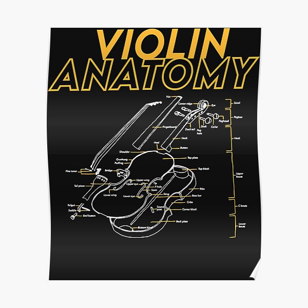 "Twoset violin violin anatomy drawing diagram limited edition" Poster ...