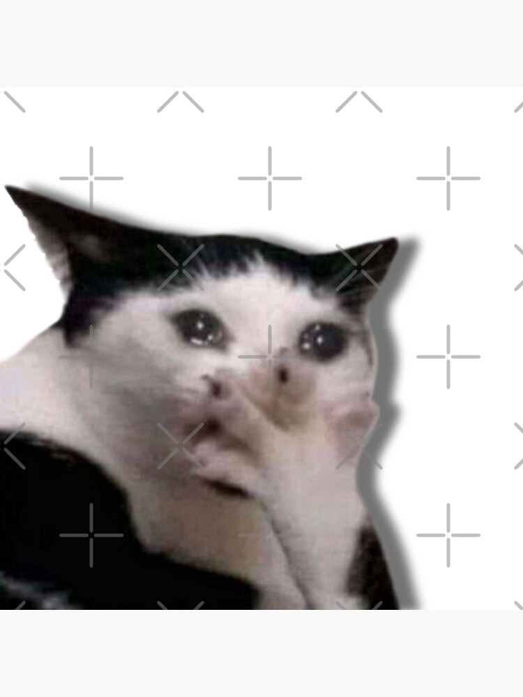 Gasp Cat Meme Cat Gasp