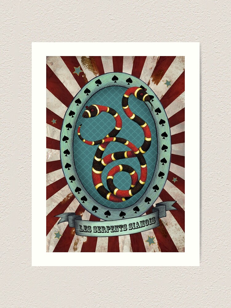 "Les Serpents Siamois, the Incredible Siamese Twin Snakes" Art Print ...