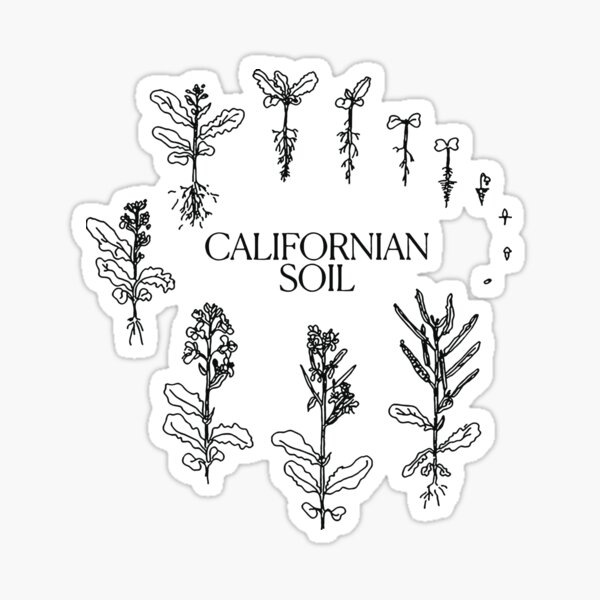 "Plant Soil" Sticker by saritengils | Redbubble