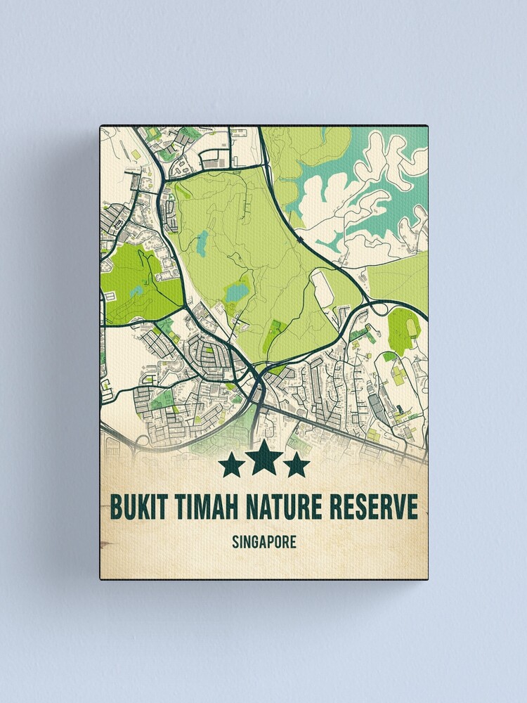 "Bukit Timah Nature Reserve park map - art deco map park" Canvas Print ...