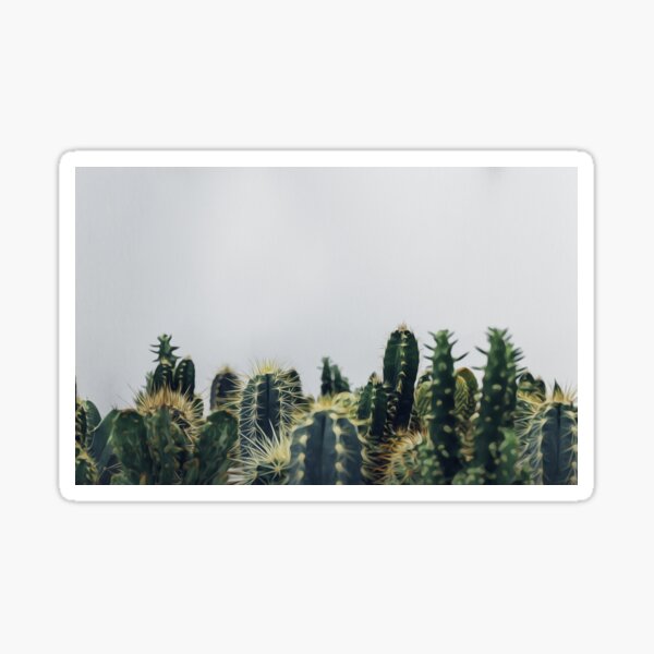 "Calm Cacti Aesthetic" Sticker by allmycreations | Redbubble