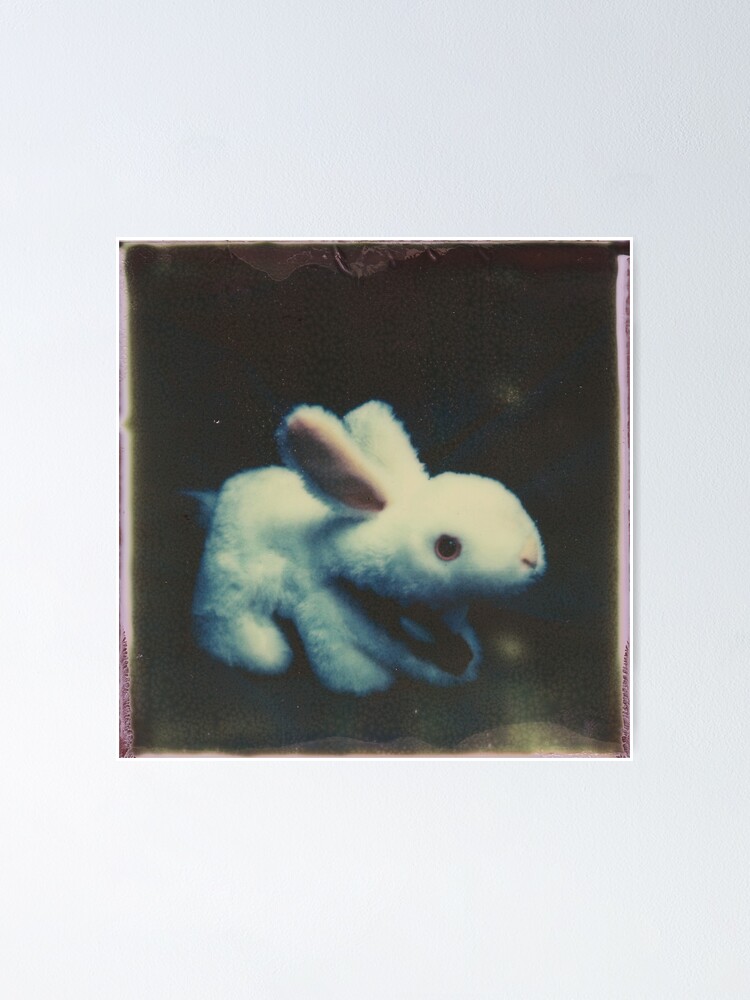 "A Harmless Little Bunny" Poster for Sale by jauville | Redbubble