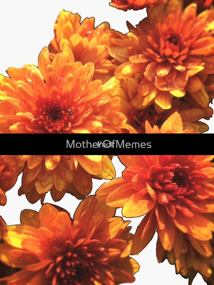"Swearing Flowers" Sticker by MotherOfMemes | Redbubble