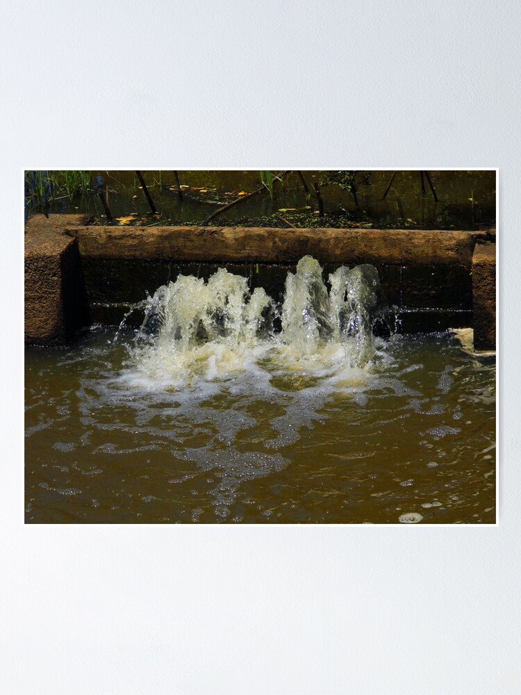 "Bubbling Swamp" Poster by WildestArt | Redbubble