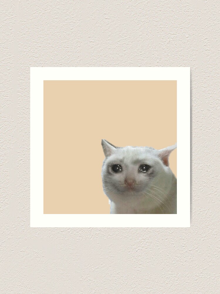 "crying cat meme " Art Print for Sale by medouz10 | Redbubble