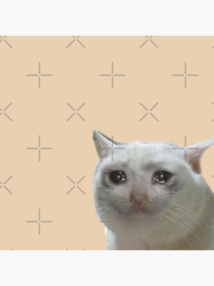 "crying cat meme " Art Print for Sale by medouz10 | Redbubble