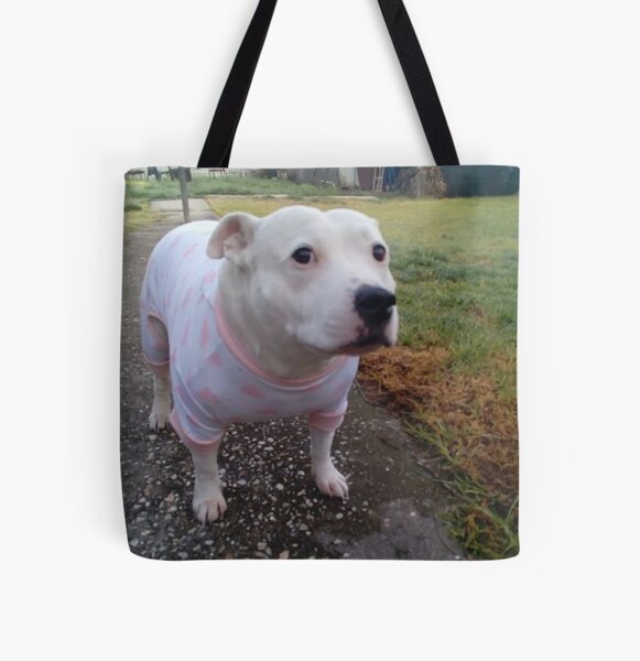"Dog Wearing Pajamas Meme" Tote Bag for Sale by gketheredge | Redbubble