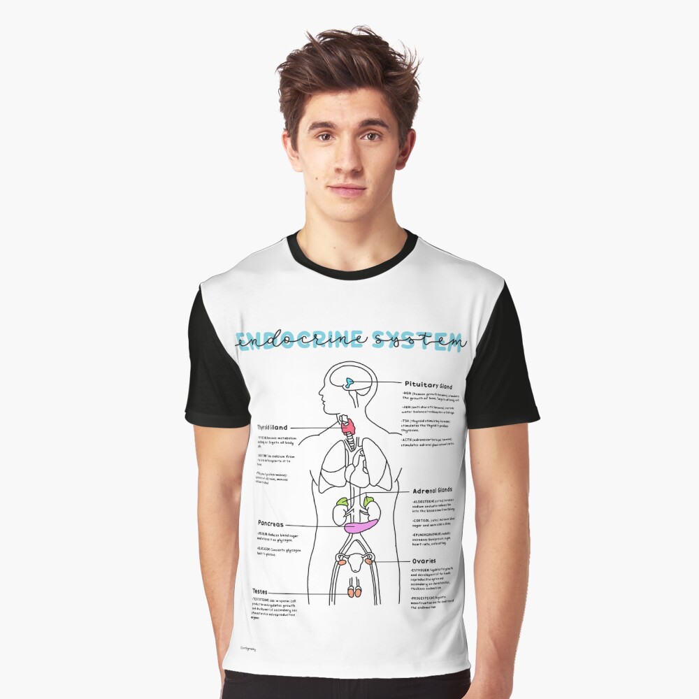 "Endocrine System | endocrine hormones, hormones, endocrinology ...