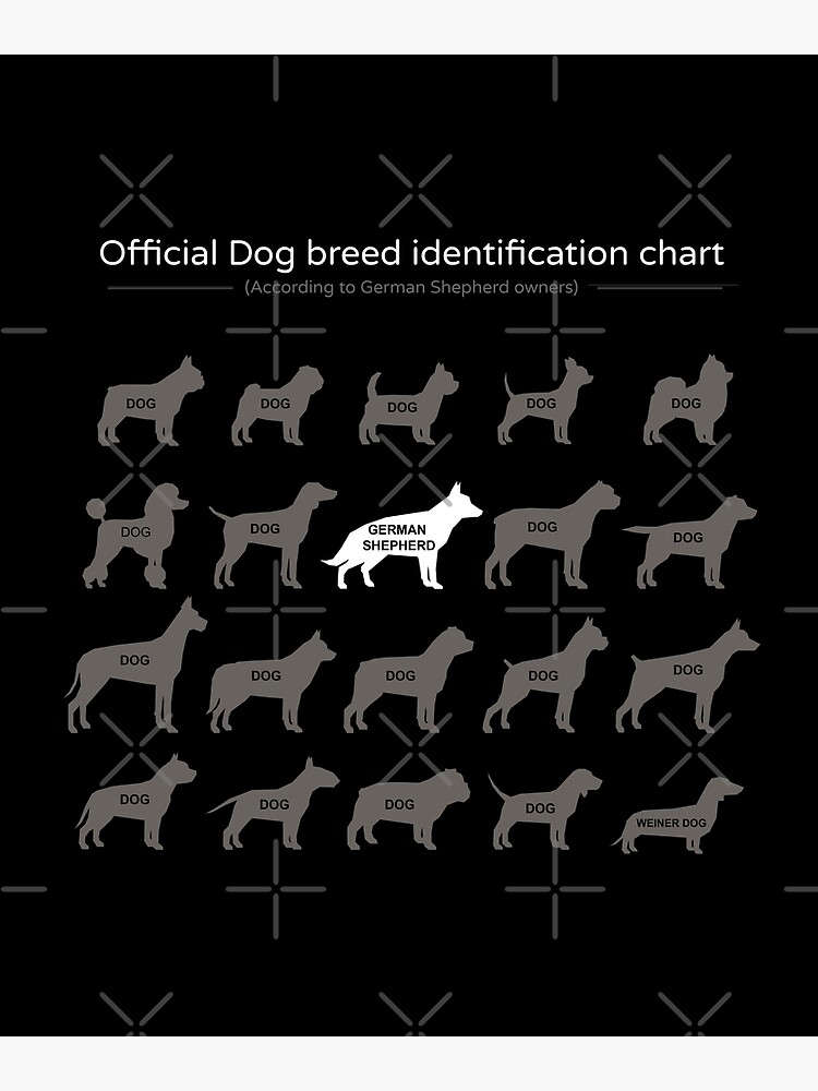"Official Dog breed identification chart - According to German Shepherd ...