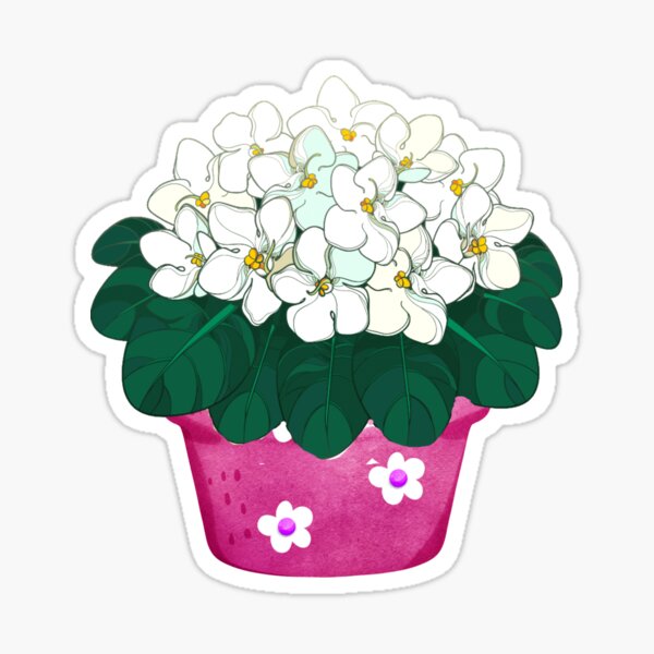 " Potted White African Violet" Sticker by CatsPa | Redbubble