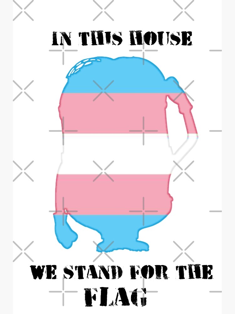 "In This House We Stand For The (Trans Pride) Flag" Poster by Mirndanda ...