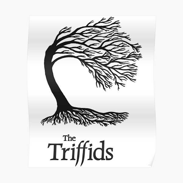 Póster «Árbol y logotipo de Triffids en negro - árbol de Martyn P Casey ...