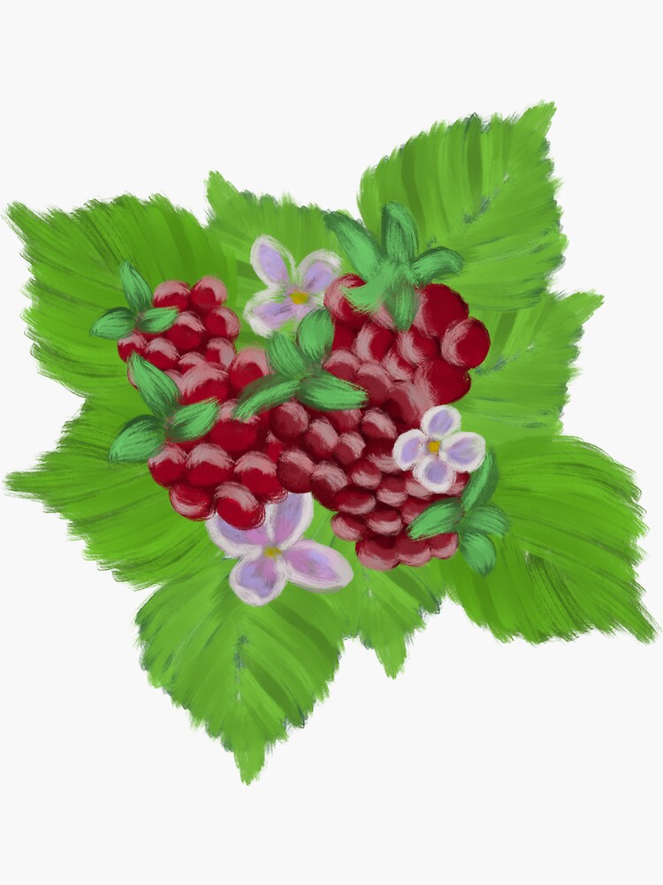 "Raspberry Patch" Sticker by MarcyBrennanArt | Redbubble