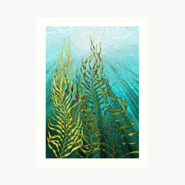 Kelp Forest Art Prints | Redbubble