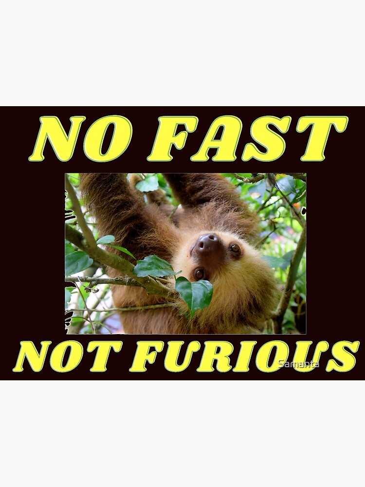 "Not Fast, Not Furious" Poster for Sale by Samanta16 | Redbubble