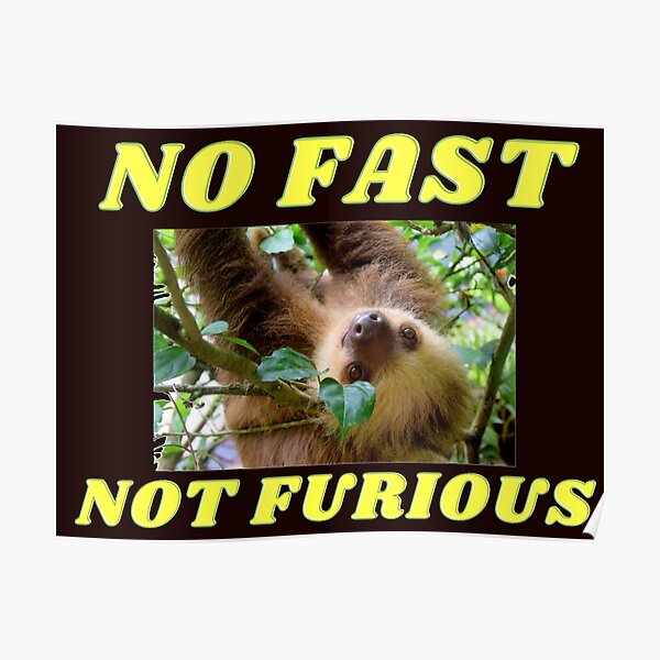 "Not Fast, Not Furious" Poster for Sale by Samanta16 | Redbubble