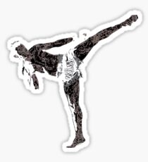 Muay Thai: Stickers | Redbubble